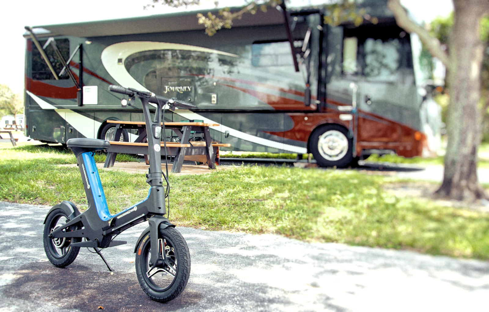 3 Reasons to Ride a Go-Bike in a Park | vanddelectricbikes.com